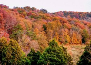 Fall in the South: Admire Autumn Without the Crowds