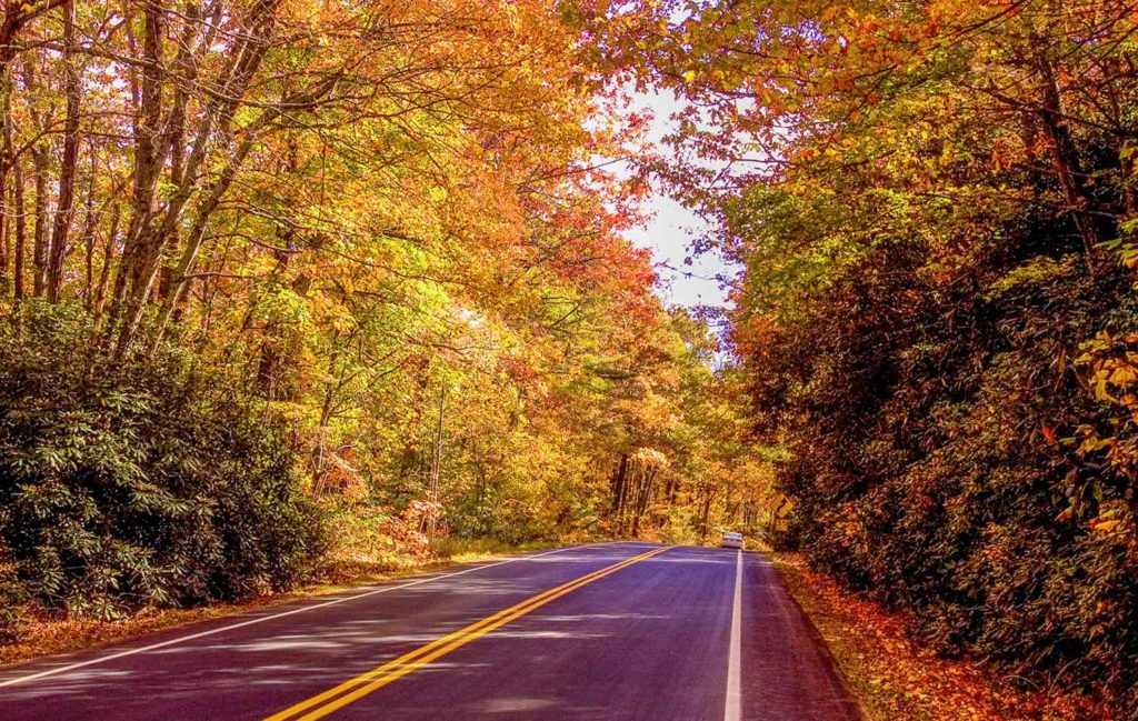 Fall in the South: Admire Autumn Without the Crowds