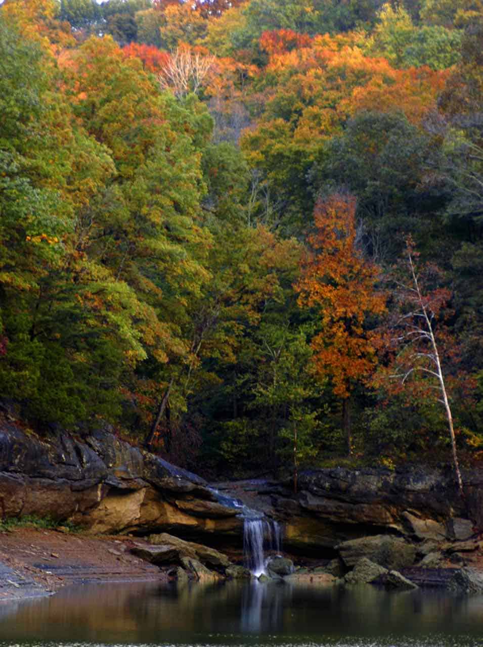Fall in the South: Admire Autumn Without the Crowds