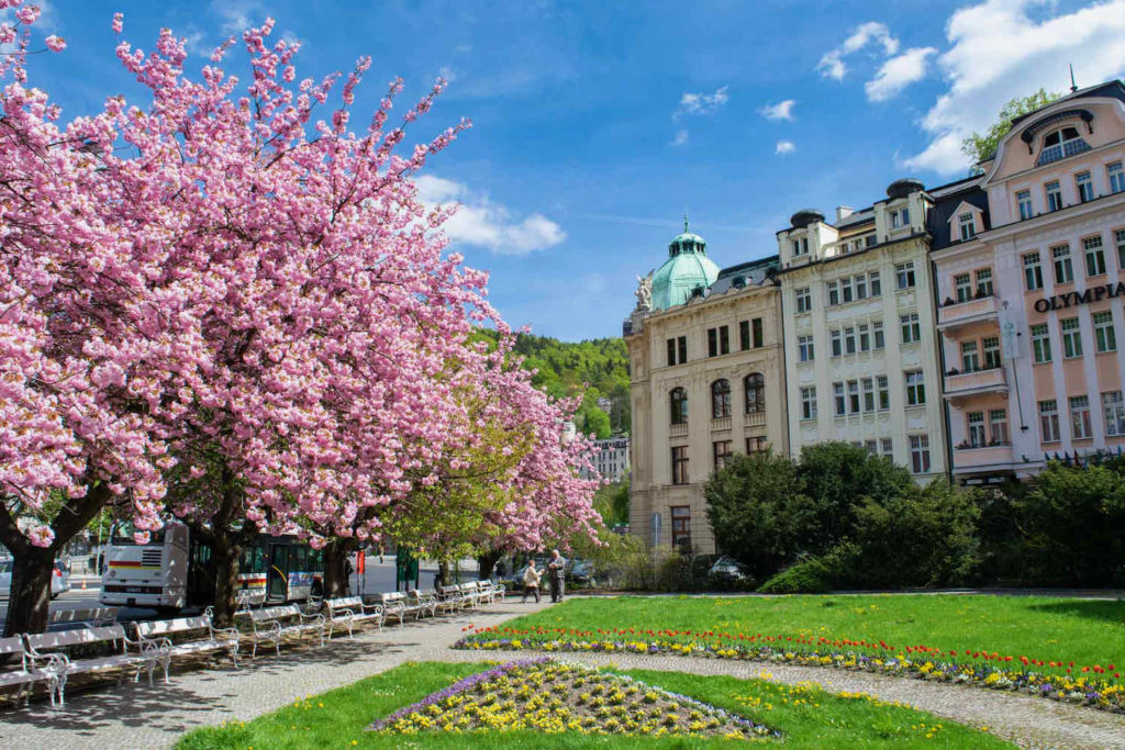 The Best Cities to See Spring Blossoms in Europe