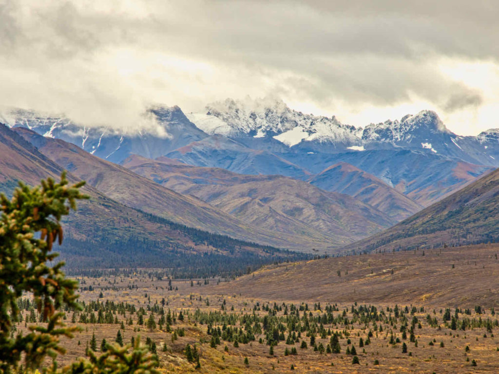 Fairbanks to Denali by Train and What to do When You Get There