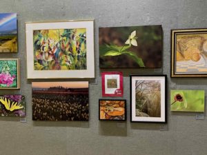 Best Things to Do in Southern West Virginia for Boomer Travelers