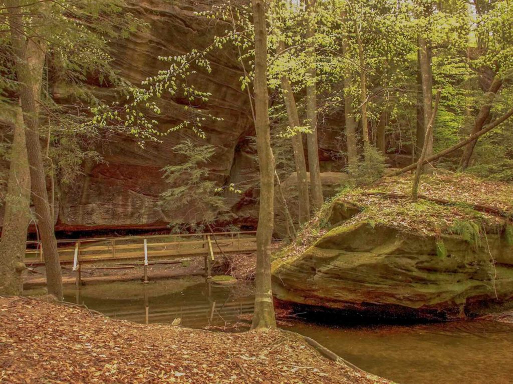 Dismals Canyon: Off-the-Beaten-Path in Alabama