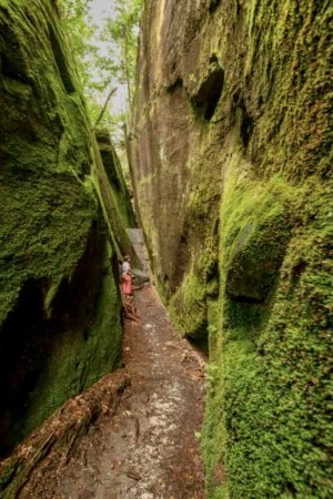Dismals Canyon: Off-the-Beaten-Path in Alabama