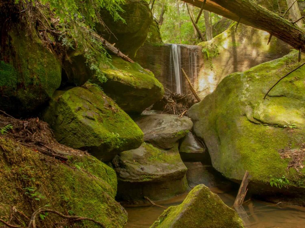 Dismals Canyon: Off-the-Beaten-Path in Alabama