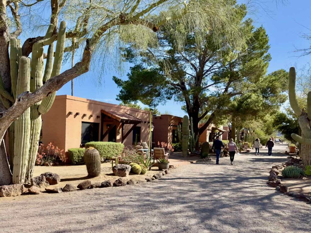 White Stallion Ranch: Multigenerational Fun in Tucson