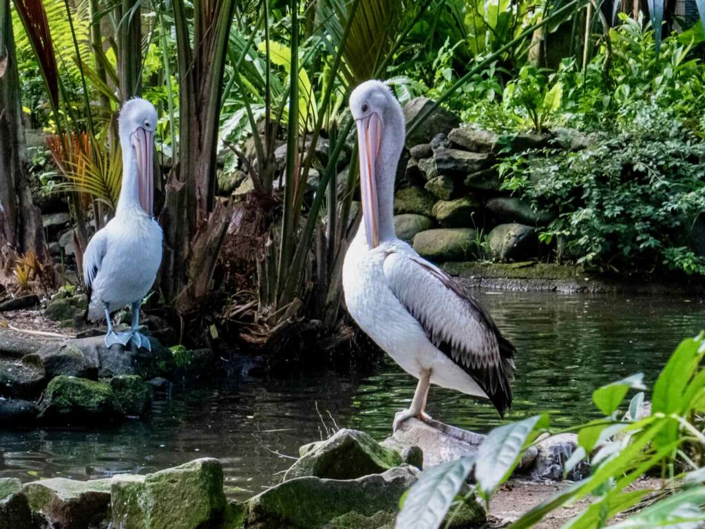Unique Things to Do in Bali for Art and Culture