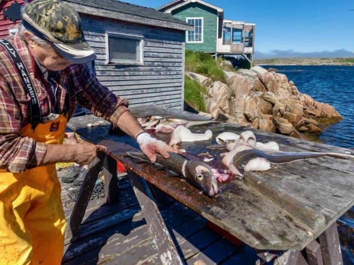 Best Things to Do in Central Newfoundland for Boomers