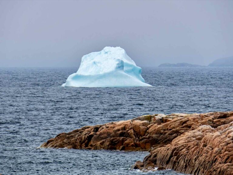 Best Things to Do in Central Newfoundland for Boomers